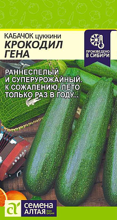 Купить семена кабачка питомник Дирижер сада – доставка почтой, СДЭК